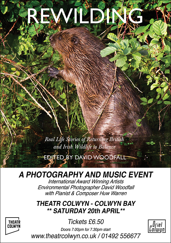 Rewilding in Britain and Ireland