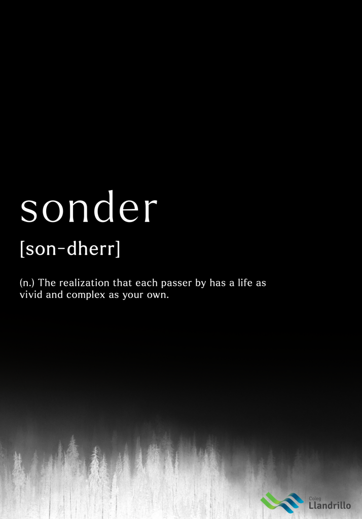 Sonder - Llandrillo BA(Hons) Photography Show